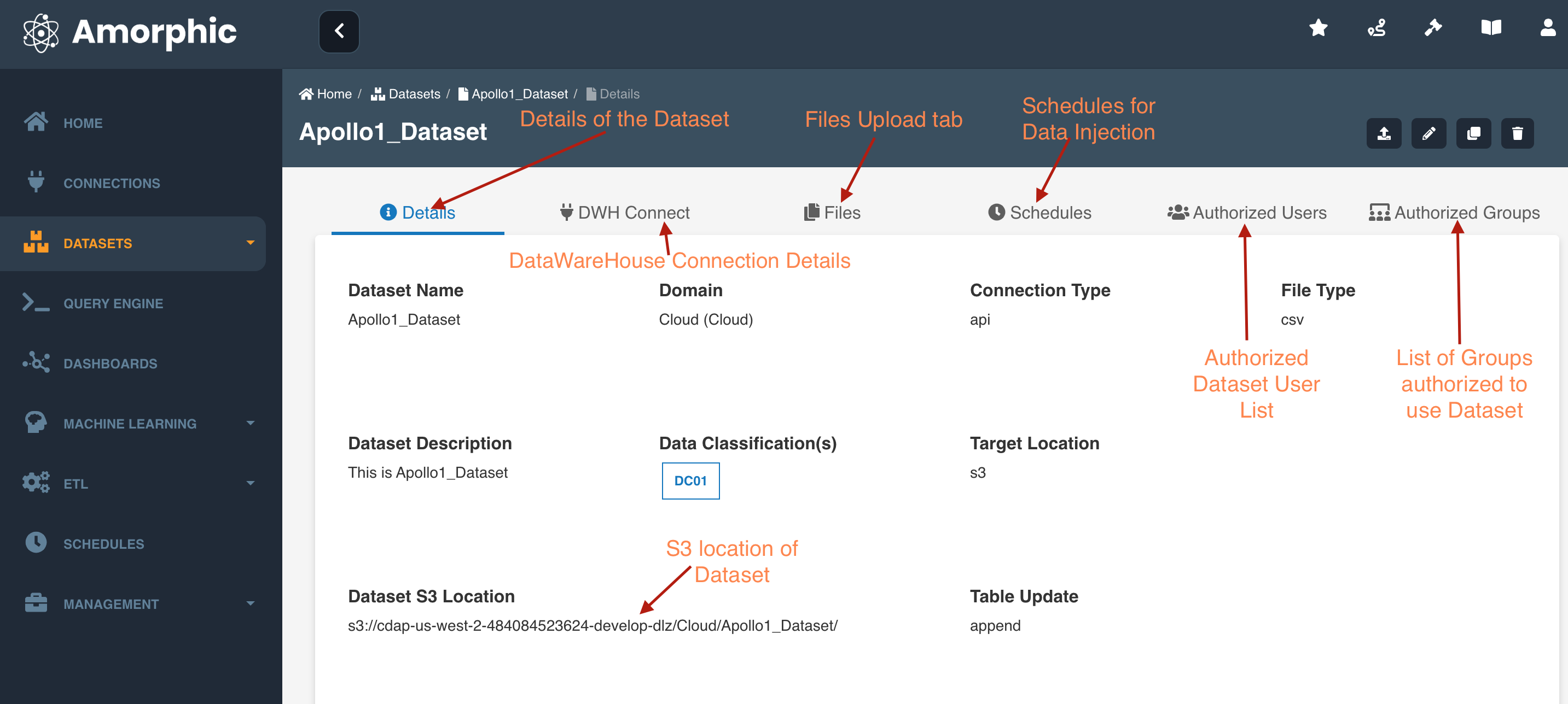 Intro | Amorphic Docs
