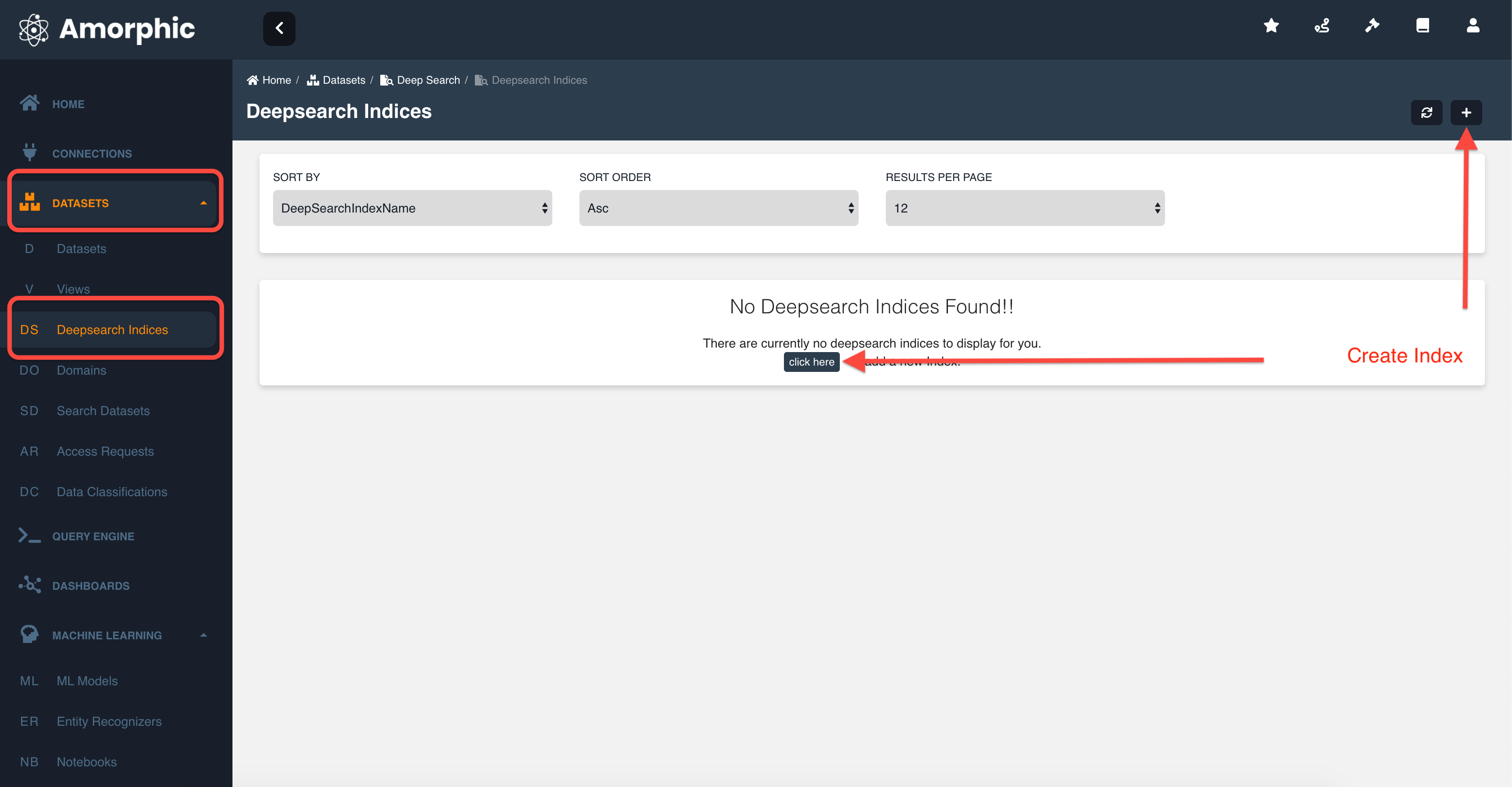 Deepsearch Indices | Amorphic Docs