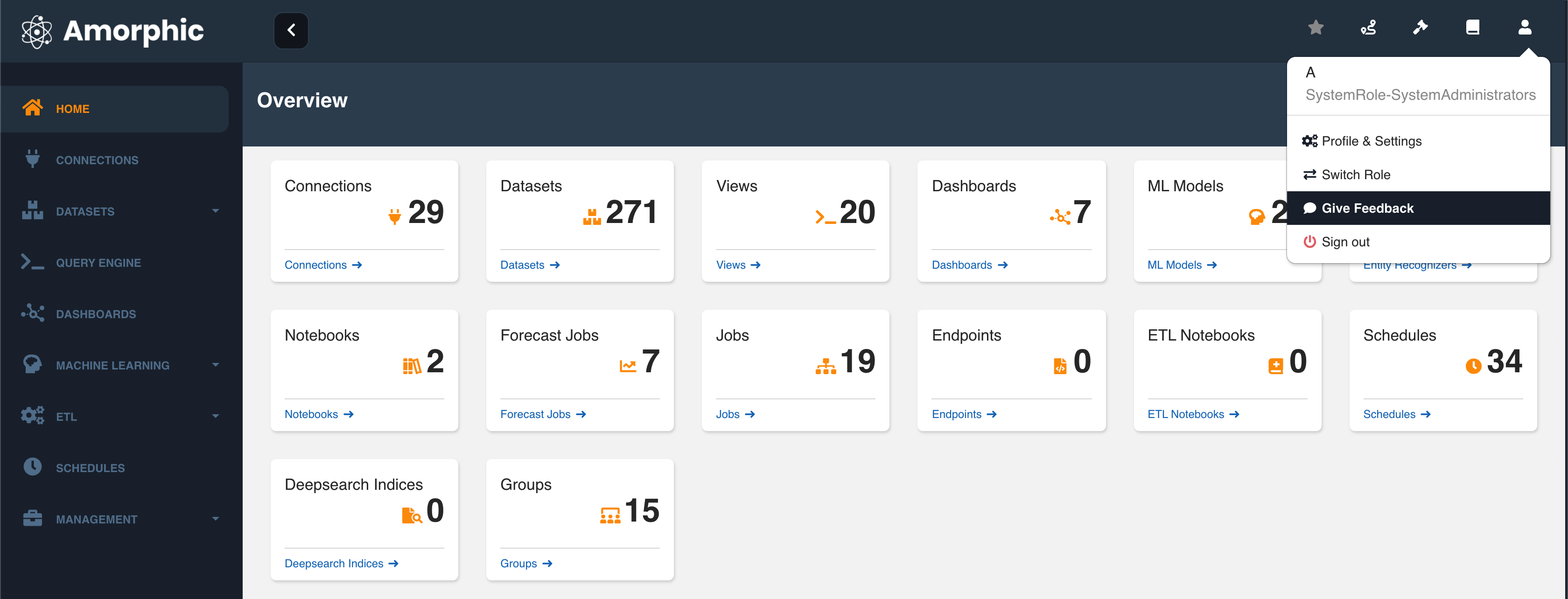 Homepage | Amorphic Docs