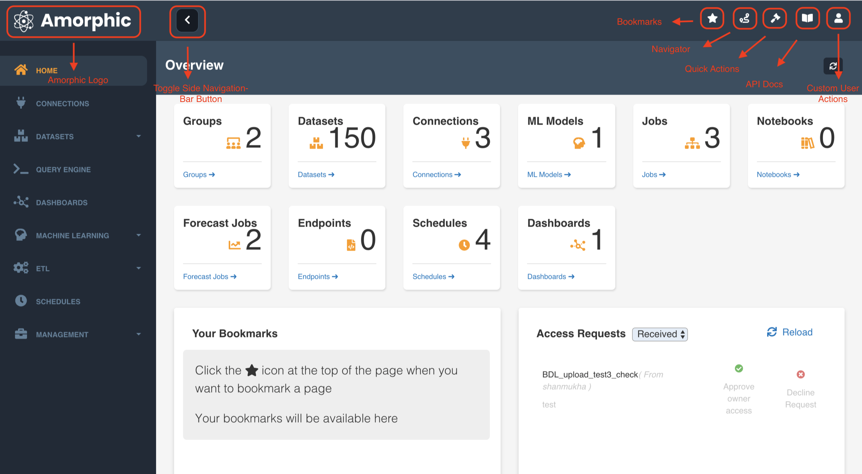 Homepage | Amorphic Docs